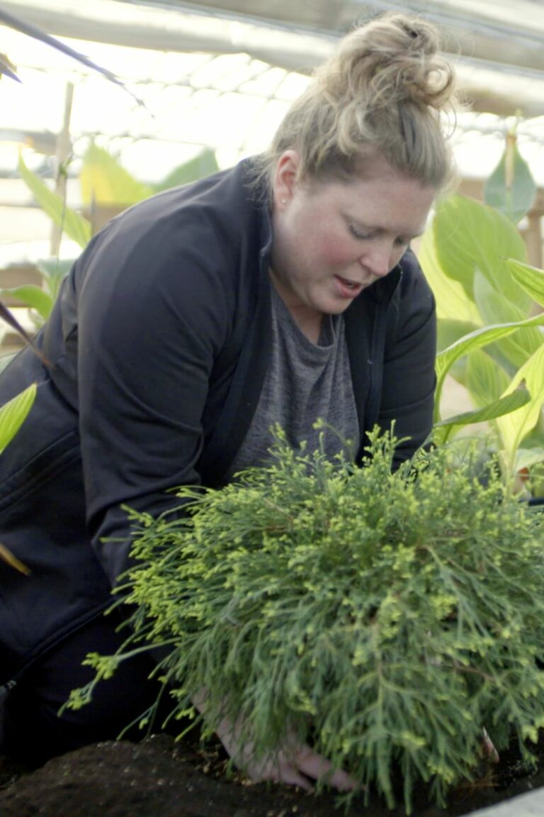 Les meilleures formation en Outaouais (DEP, ASP, AEP)
